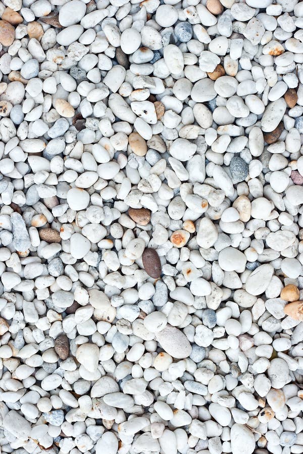 Gravel stock photo. Image of scree, garden, decoration - 40337320
