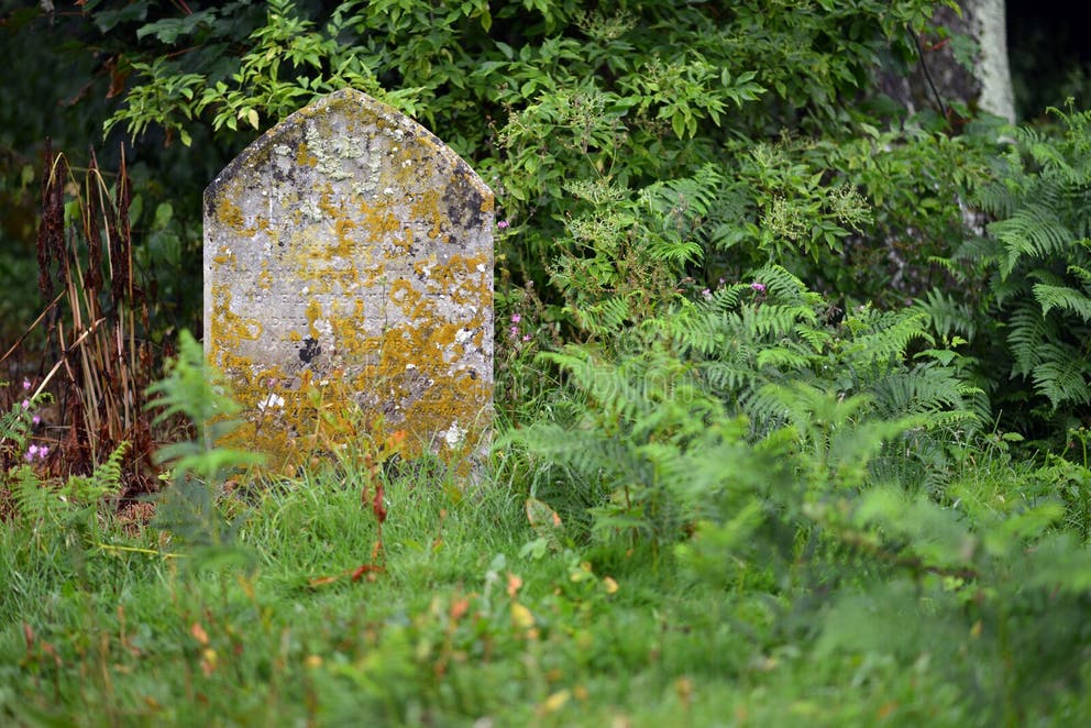 Graves stock image. Image of churchyard, stones, graves - 95271801