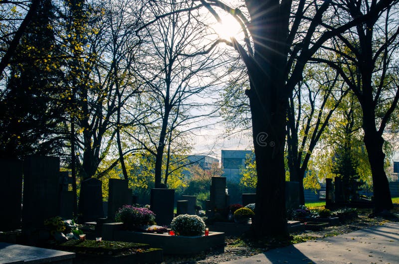 Sun in the cemetery stock image. Image of cementery, scenic - 77622083
