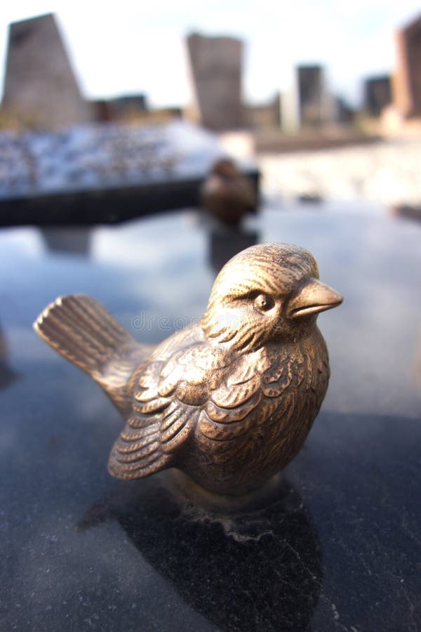 Bird on a gravestone stock photo. Image of nature, carved - 50906018