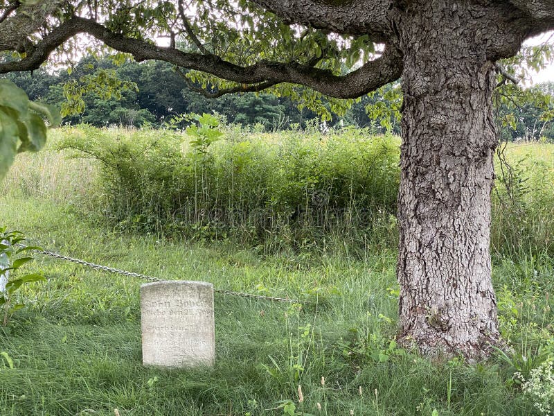 Gravestone Next To a Tree Trunk in a Field Stock Image - Image of ...