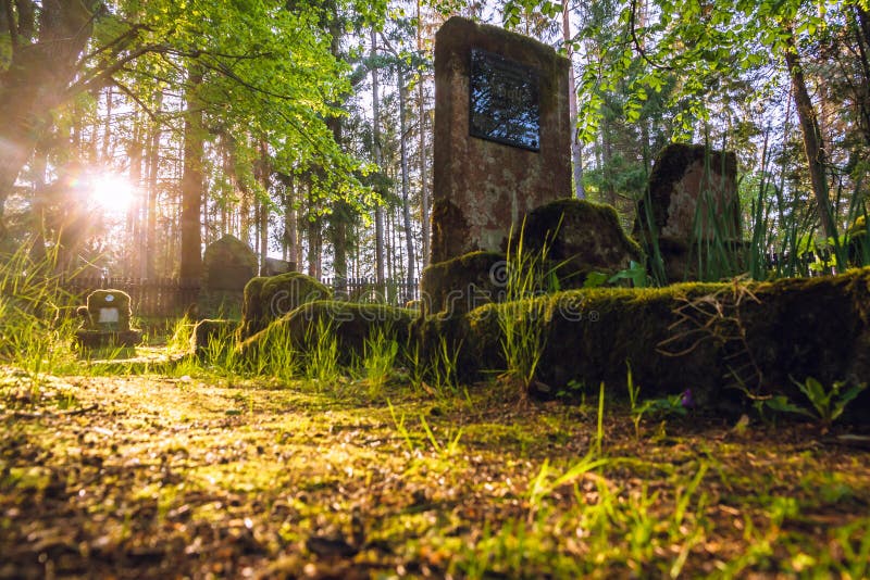 Gravestones of an Old Cemetry Stock Image - Image of green, life: 165014443