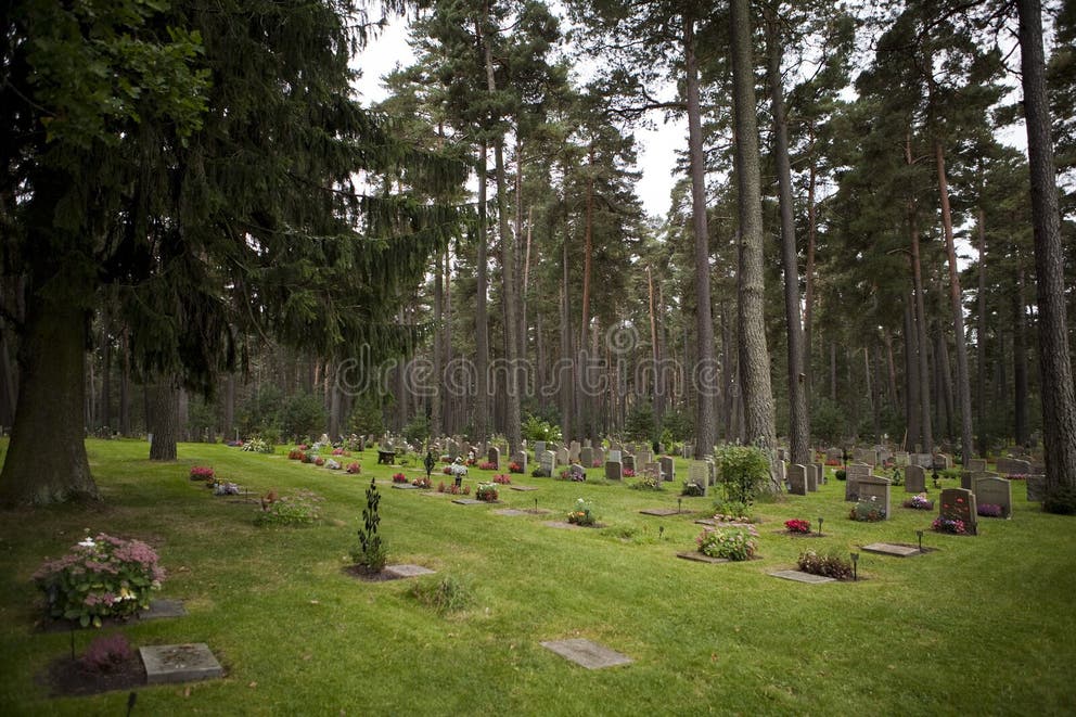 Graveyard stock photo. Image of cemetery, depression - 11100830