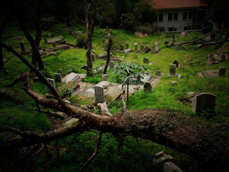 Graveyard stock image. Image of graveyad, death, grassy - 2448653