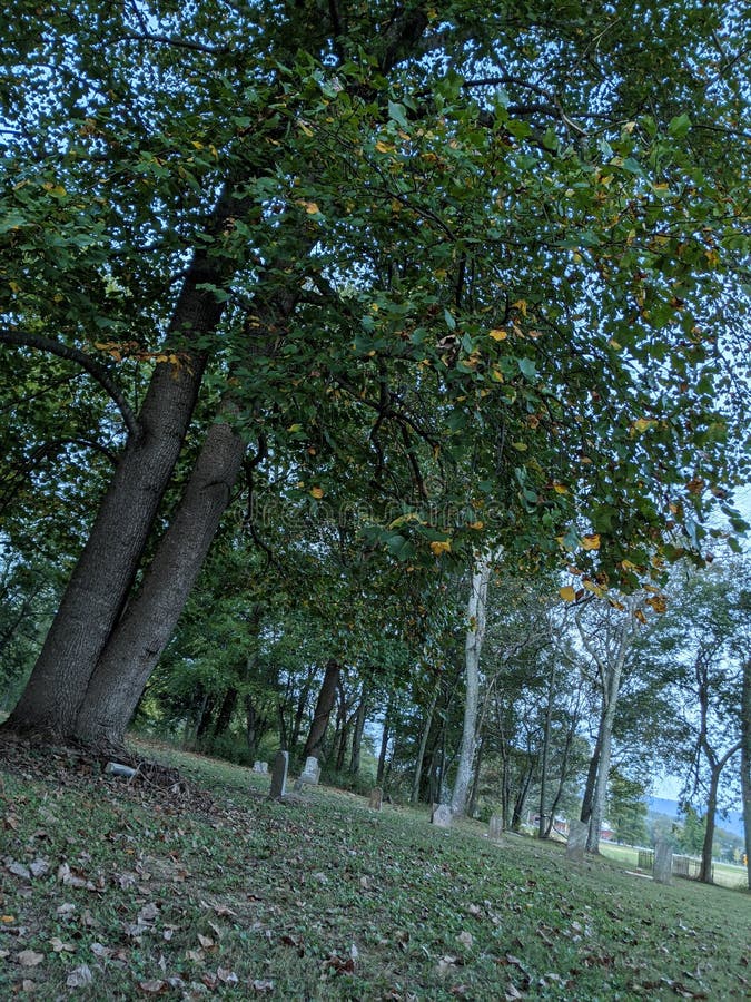 Graveyard fall stock photo. Image of deciduous, autumn - 231141350