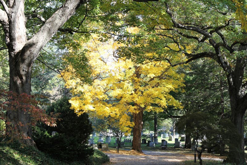 Graveyard in Fall stock image. Image of cambridge, foliage - 34819507