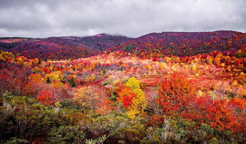 Graveyard Fields on the Blue Ridge Parkway in Autumn Stock Photo ...