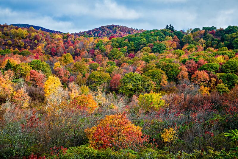 Graveyard Fields on the Blue Ridge Parkway in Autumn Stock Photo ...