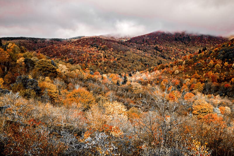 Graveyard Fields on the Blue Ridge Parkway in Autumn Stock Image ...