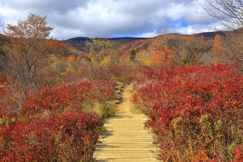 Graveyard Fields editorial photography. Image of mountains - 87233502