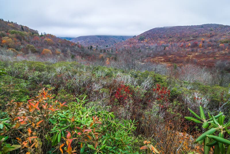 Graveyard Fields Overlook in the Smoky Mountains in North Carolina ...