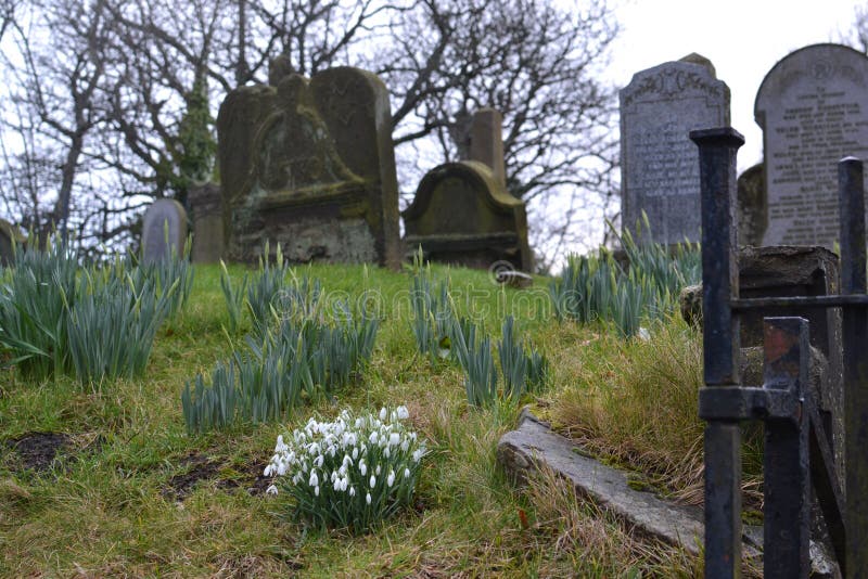 Graveyard stock image. Image of green, gate, stirling - 55674903