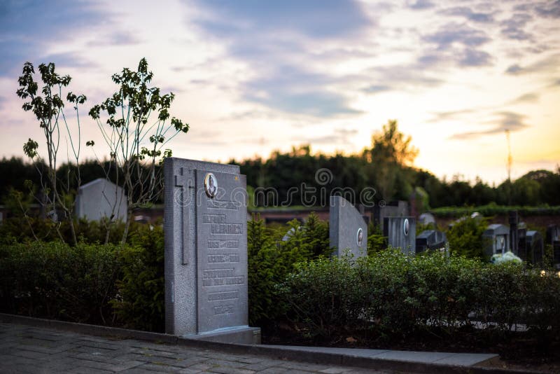 The Graveyard editorial image. Image of live, sunset - 61197875