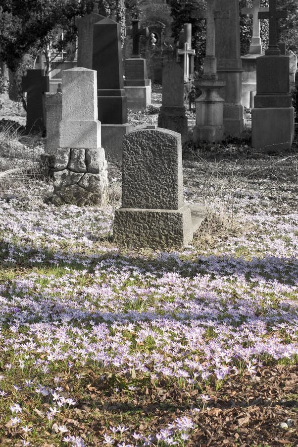 Graveyard in Spring stock photo. Image of gravestone - 23932856