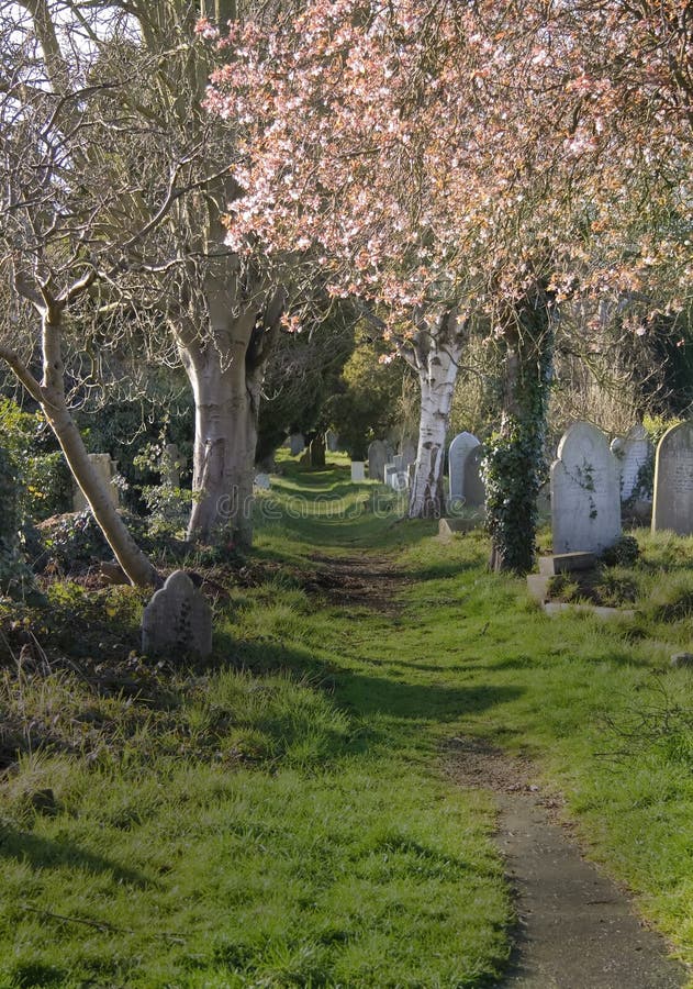 Graveyard Walkway stock image. Image of religious, graveyard - 4551287