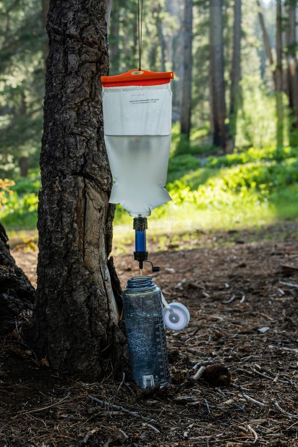 Gravity Water Filter Hangs from Tree Stock Photo - Image of park ...