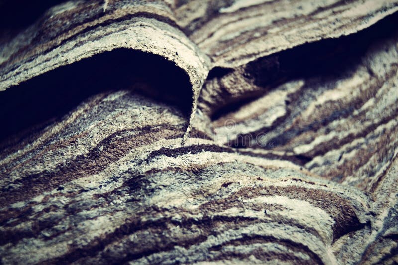 Gray Abstract Screen Background with a Wavy Structure. Stock Image ...