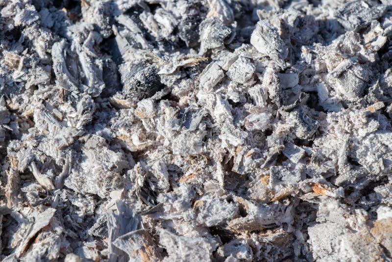 Gray Ash Background Texture, Grey Ashes from the Wood from the ...