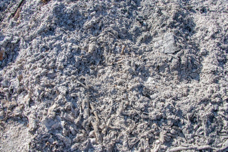 Gray Ash Background Texture, Grey Ashes from the Wood from the ...