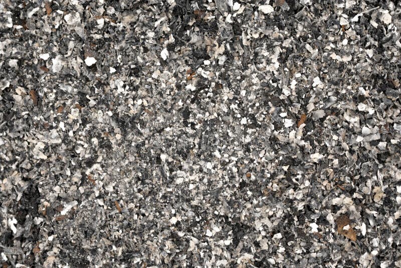 Cigarette Ash Texture