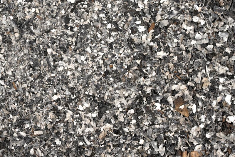 107 Cigarette Ashes Texture Stock Photos - Free & Royalty-Free Stock ...