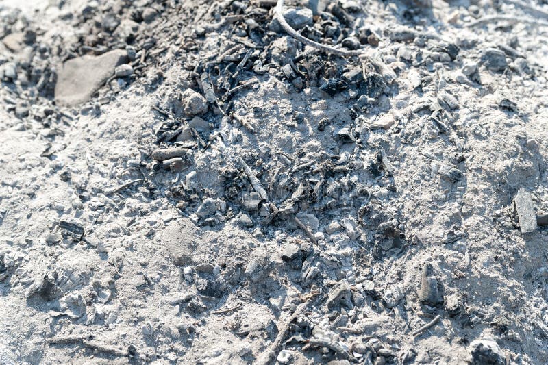 Gray Ash from the Fire. Background Texture of Wood Ash Stock Image ...