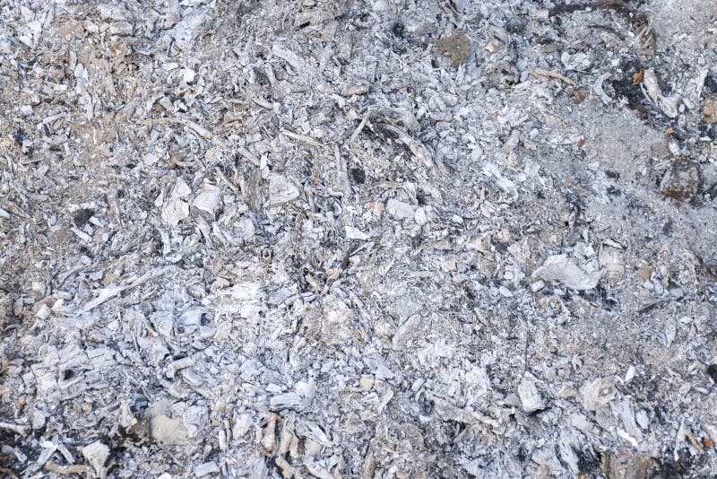 Gray Ash from a Fire on the Ground Stock Photo - Image of detail, grey ...