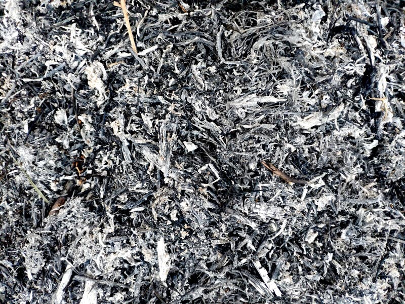 Gray Ash Background Texture, Ash, Gray Ash from Wood on the Street ...