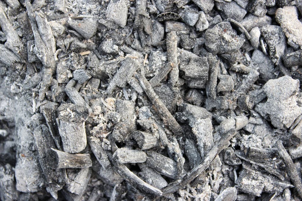 Gray Ashes Background Texture. Grey Ashes from the Wood from the ...