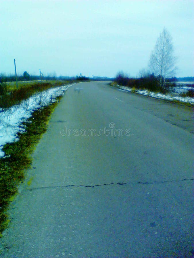 Gray Asphalt Road Winter Time Stock Photo - Image of trees, road: 177509754