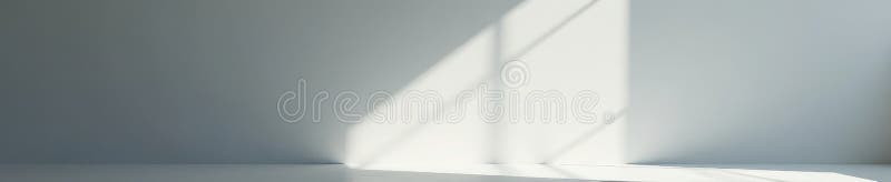 Gray Backdrop Soft Window Light Product Shadow Texture Website Stock ...
