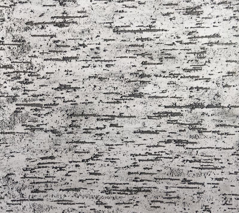 8K Mud Roughness Texture, Height Map or Specular for Imperfection Map ...