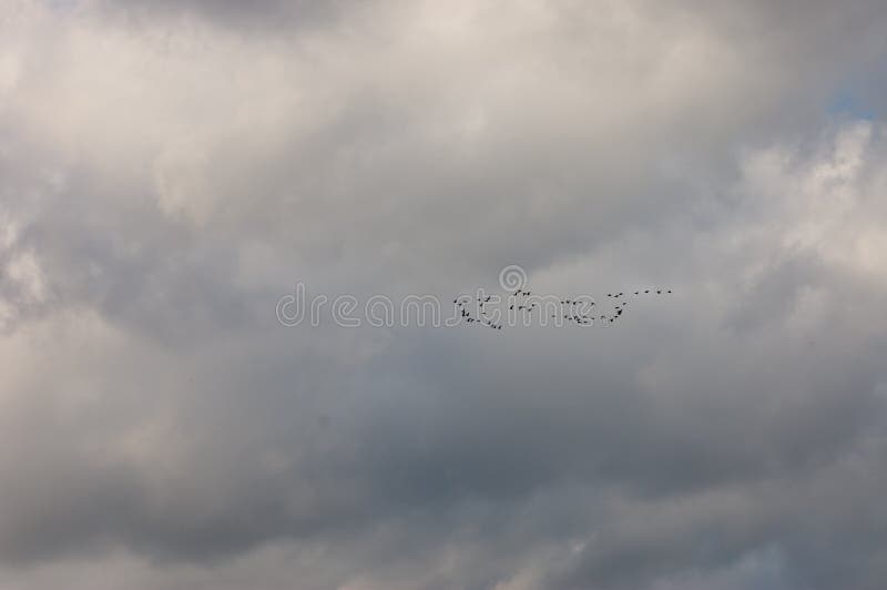 Gray Background,in the Photo Gray Sky and Gray Clouds Bottom View Stock ...
