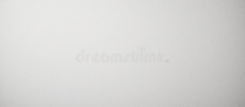 Gray Background Wall for Photography Design with Smooth Texture and ...