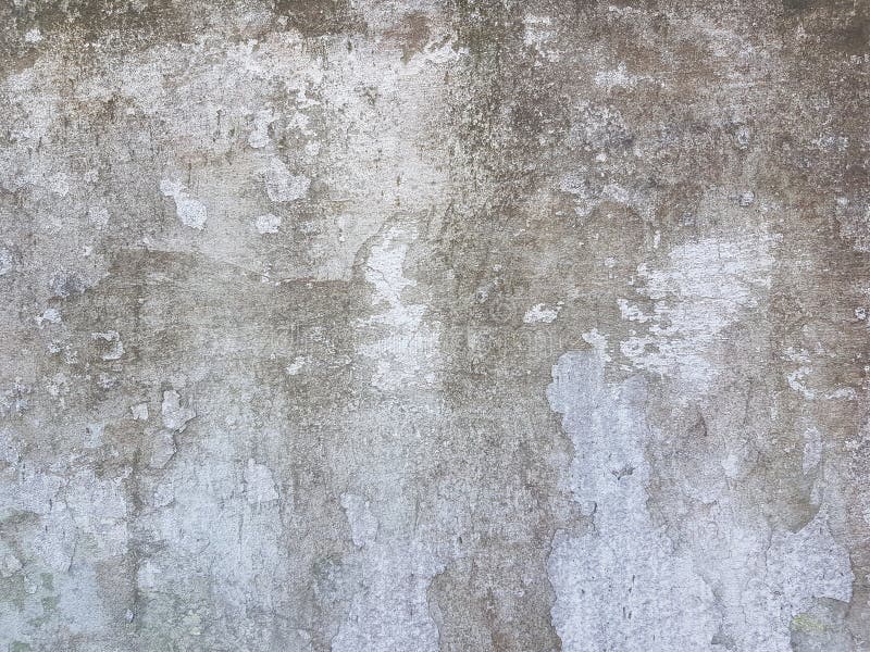 Gray Backgroung. Old Grunge Stucco Wall Stock Image - Image of background, stucco: 296062891