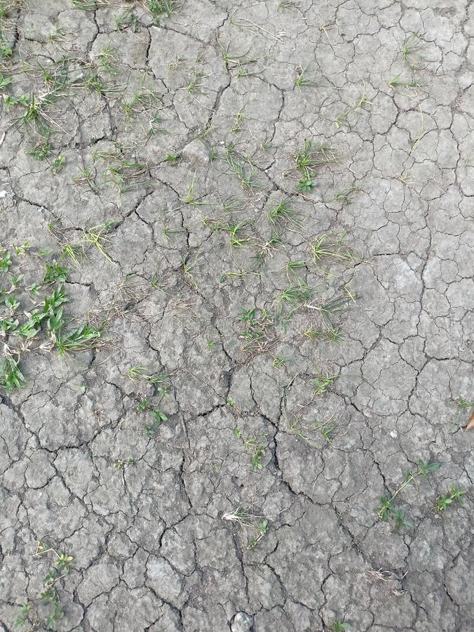 Barren soil stock photo. Image of concept, brown, erosion - 31468630