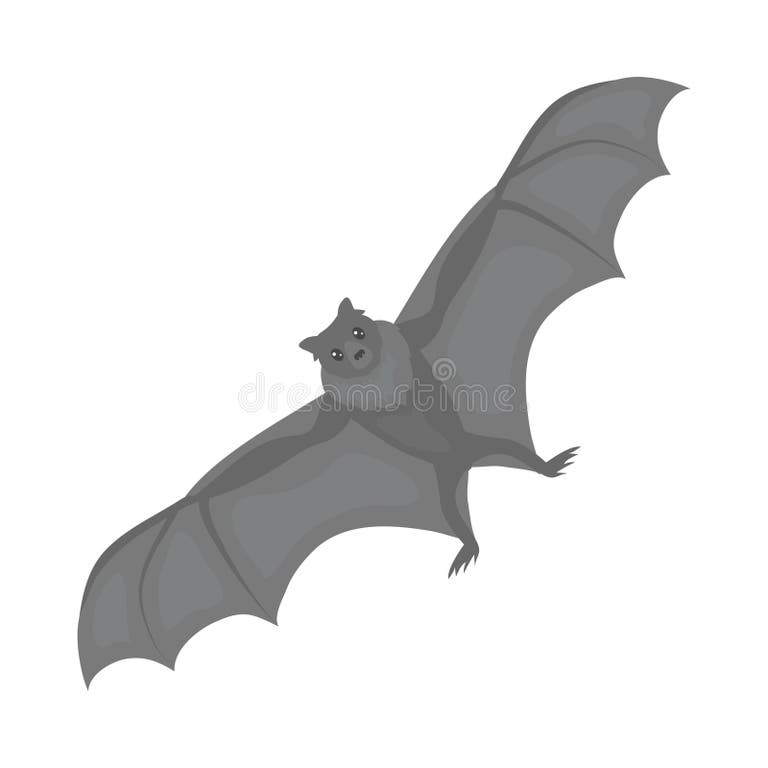 Gray bat illustration stock vector. Illustration of flight - 293344566