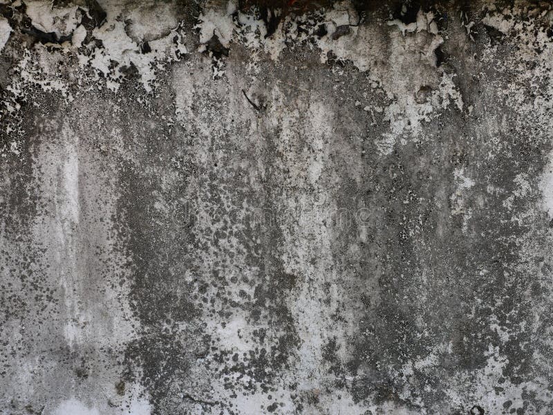 Gray with Black with Brown and White Abstract Background Stock Image ...