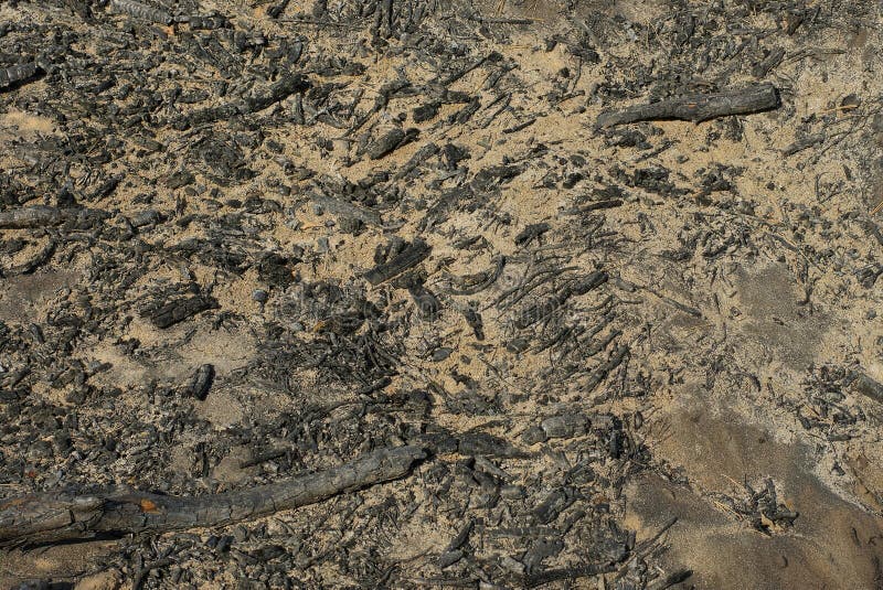 Black Texture of Ash on the Ground Stock Image - Image of climate ...