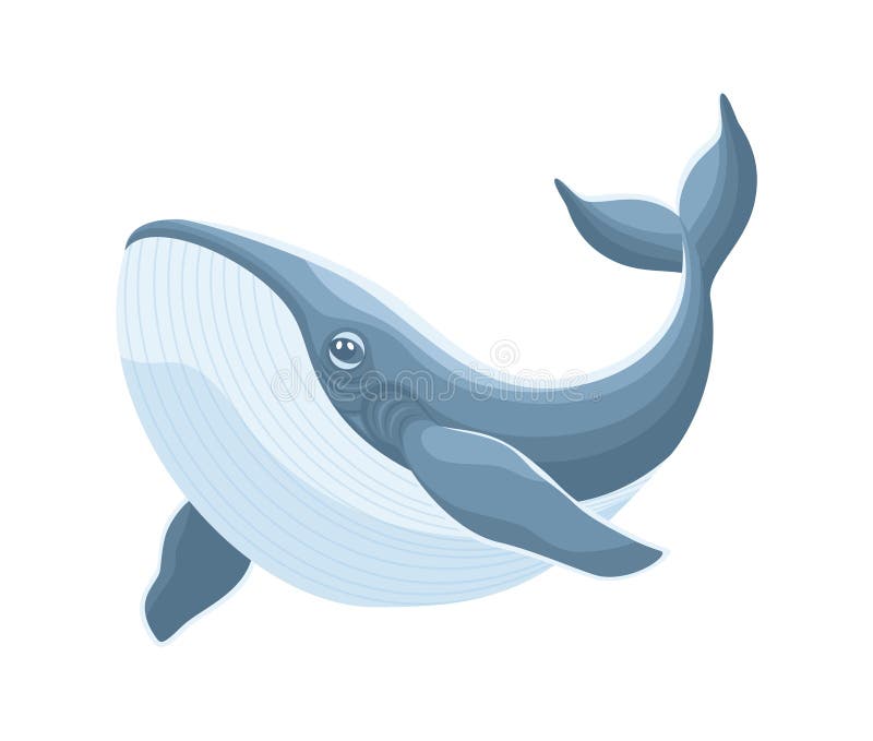 Gray Blue Cartoon Whale Isolated on White Background, Vector ...