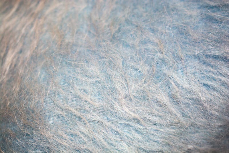 Gray and Blue Felt Like Fabric Material Forming Texture Background ...