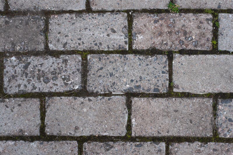 Gray Brick Path Moss in the Cracks Stock Photo - Image of texture ...