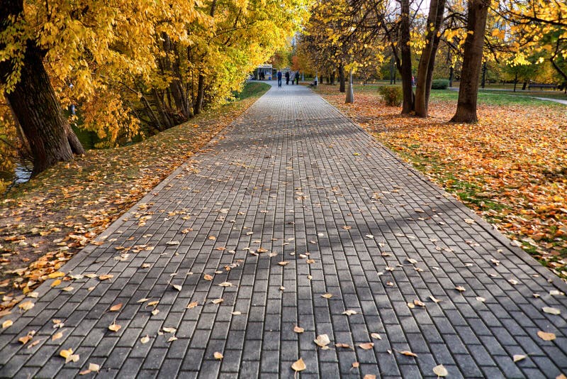 Gray brick road stock image. Image of grass, park, trees - 46635371