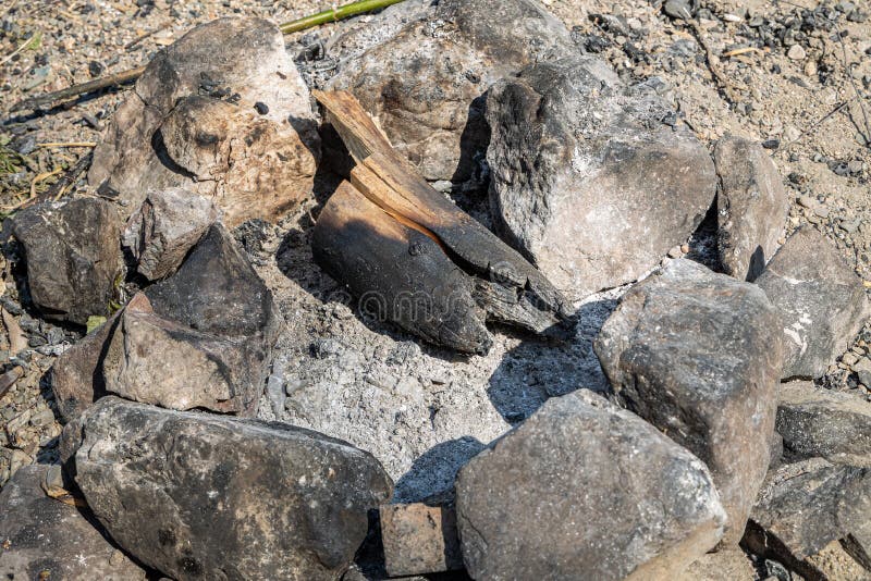 Gray and Brown Big Stones and Birch Trunk for a Bonfire are in a ...