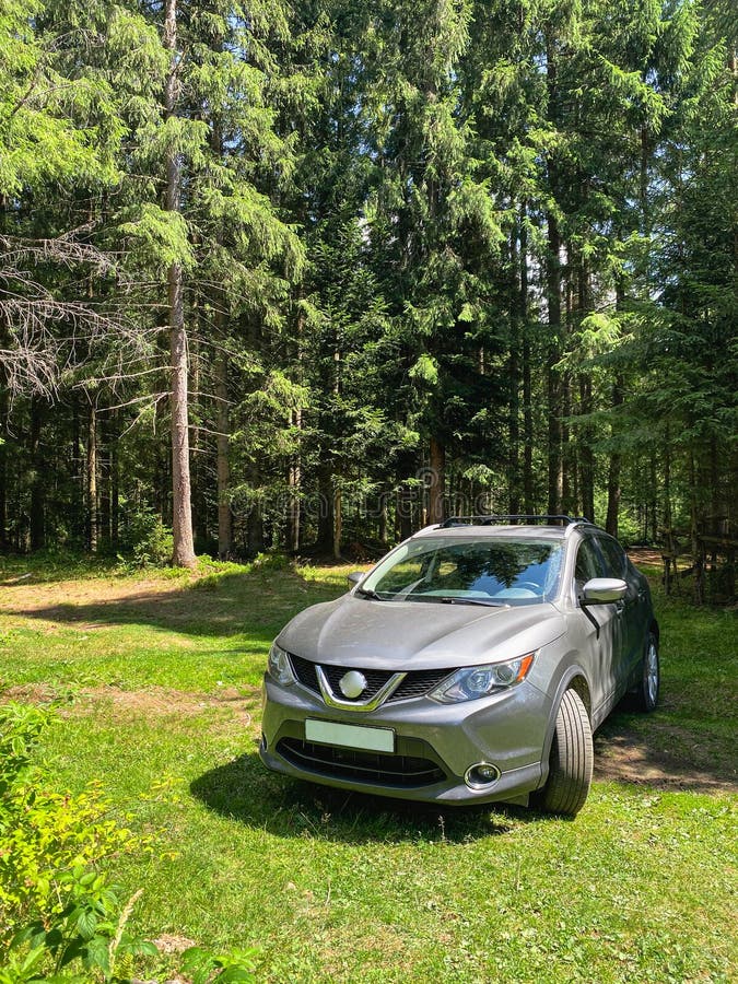 Gray Car in the Forest Near the Trail Stock Image - Image of road ...
