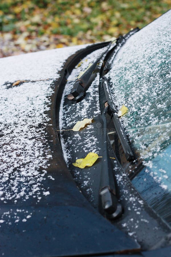 Gray Car with Snow on the Windows Stock Photo - Image of foliage, water ...