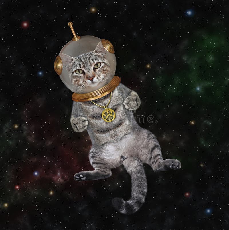 Cats In Space Suits