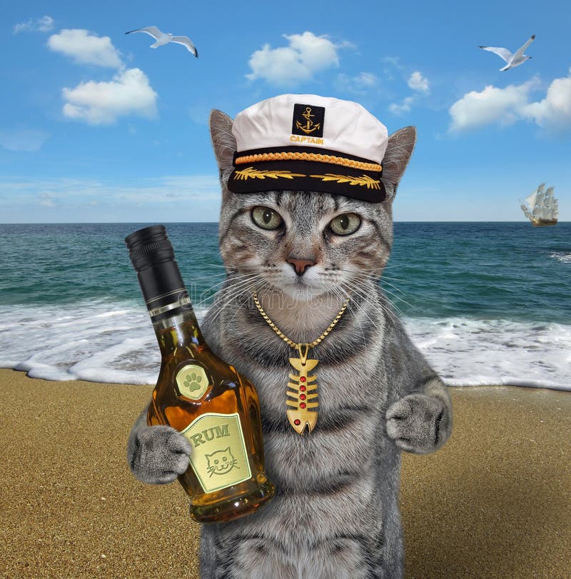 Cat Gray Captain with Bottle of Rum 2 Stock Illustration - Illustration ...