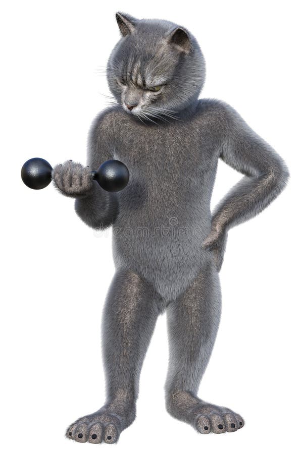 Gray Cat Doing Gymnastics with Dumbbells Stock Illustration ...
