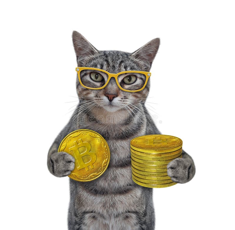 Cat in bitcoin glasses 3 stock image. Image of humor - 122351073